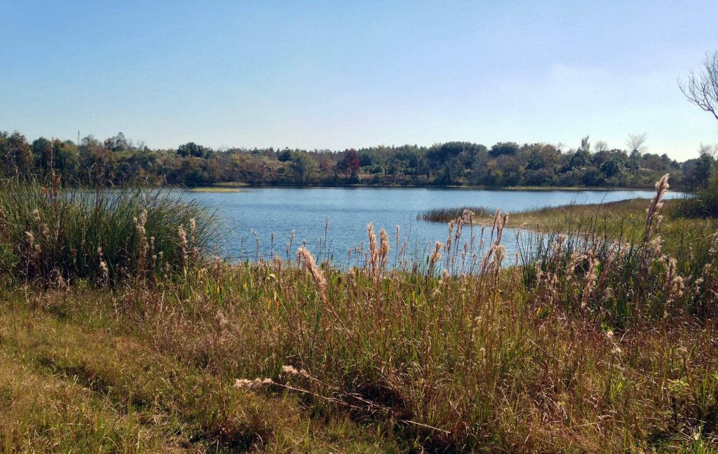 Green Swamp Wilderness Preserve - East Tract - Visit Central Florida