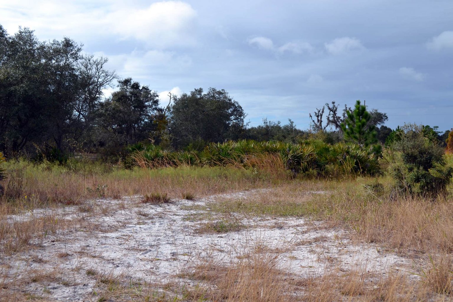 Nature Hiking, Cycling, Running in Central Florida - Polk County