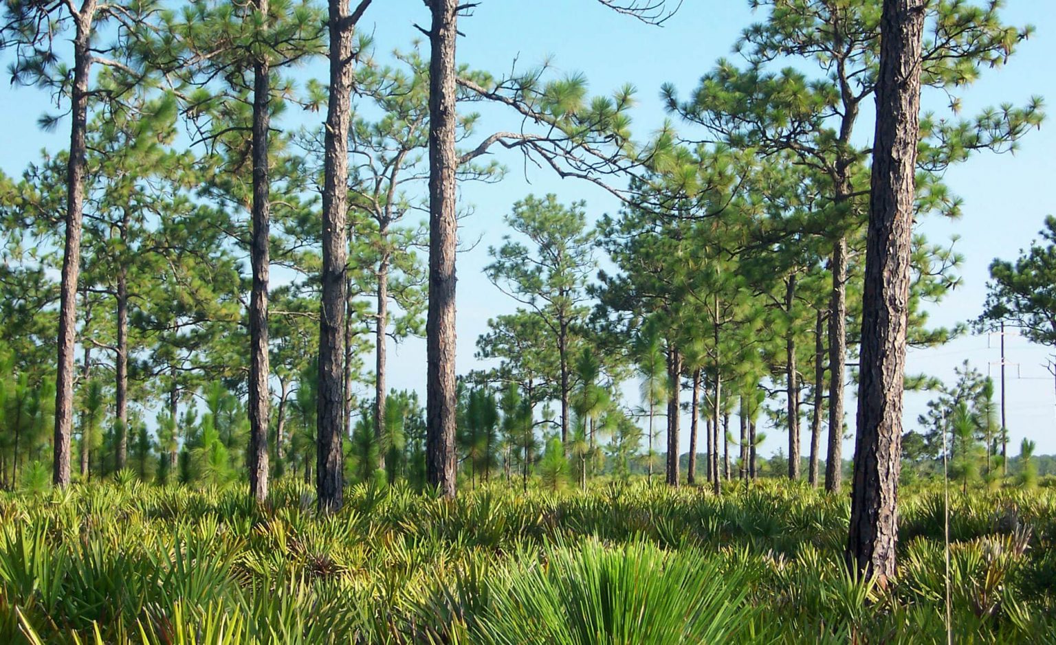 Nature Hiking, Cycling, Running in Central Florida - Polk County