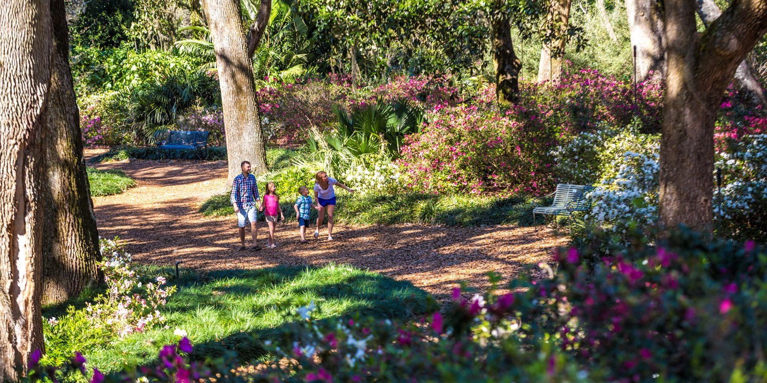 Wawa Summer Fun Days at Bok Tower - Visit Central Florida