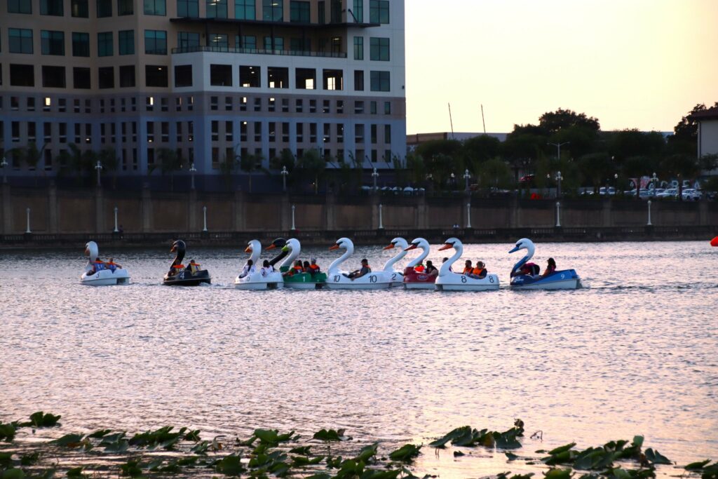 Swan Derby - Visit Central Florida
